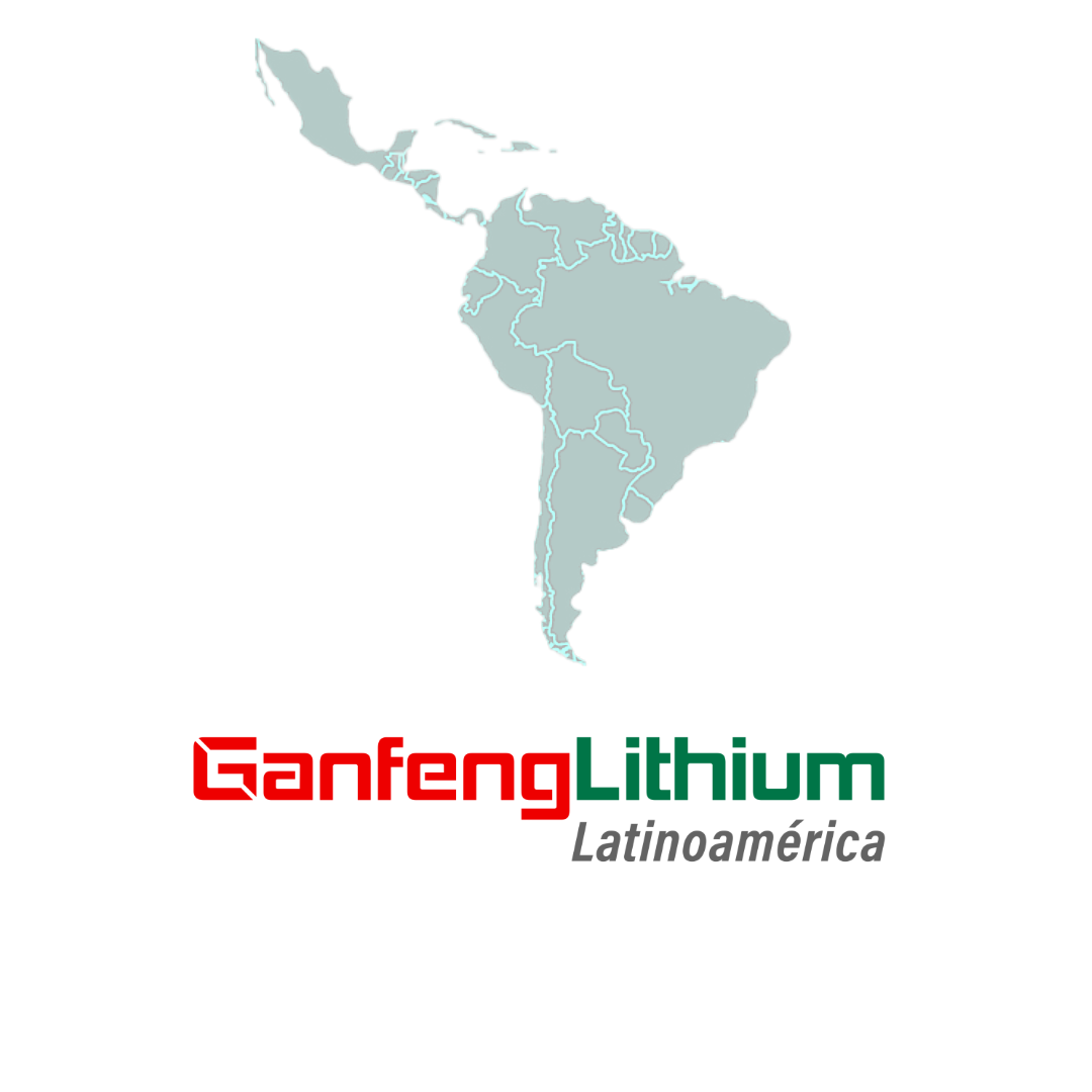 Ganfeng Lithium – Argentina – Plataforma digital de oferta y demanda ...